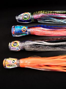 Blue Cod - Species Guide